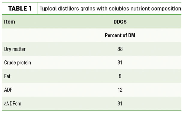 NDFd in dried distillers grains with solubles: Should we care? | Ag Proud