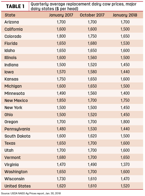 U.S. dairy cow, heifer numbers show no indication of dropping - | Ag Proud
