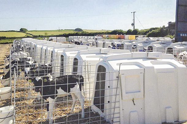 3 common calf barn ventilation questions answered - Progressive Dairy ...