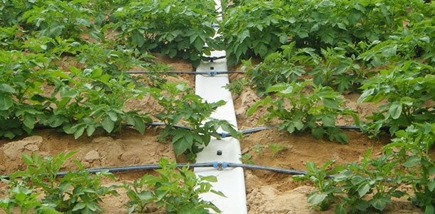 Netafim unveils PolyNet, flexible piping system - | Ag Proud