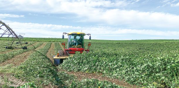 Cutting irrigated hay costs by using soybeans - | Ag Proud