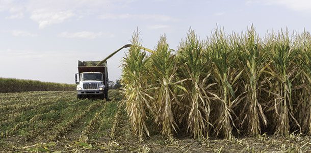 Labor changes in custom harvesting - | Ag Proud