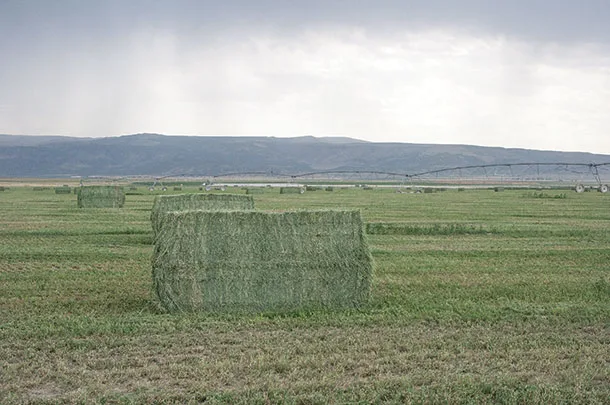 Bale sizes and shapes – picking what’s right for you - | Ag Proud