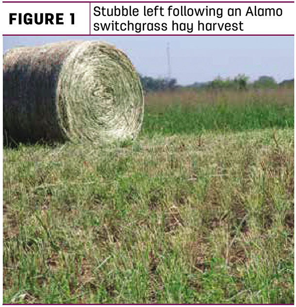 Adjusting mowers for native grasses - Progressive Forage | Ag Proud