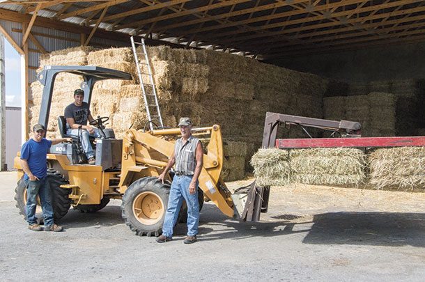 A mentoring model: Stoltzfus Hay Farm - Progressive Forage | Ag Proud