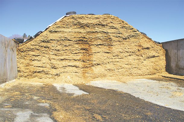 Livestock profitability starts with quality silage - Progressive Forage ...
