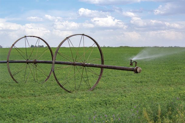 Maximizing alfalfa water use - Progressive Forage | Ag Proud