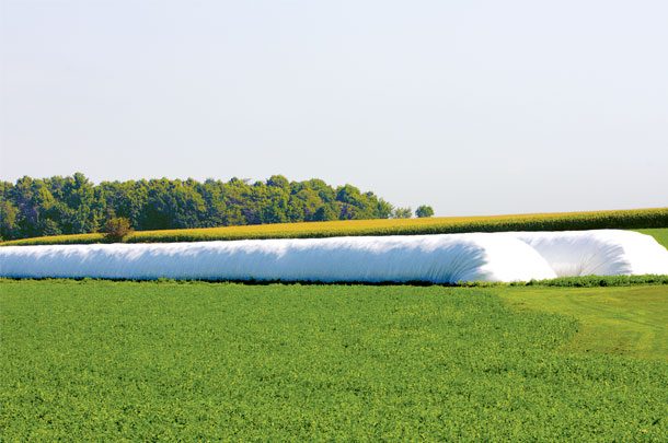 Benefits of bagging silage - Progressive Forage | Ag Proud