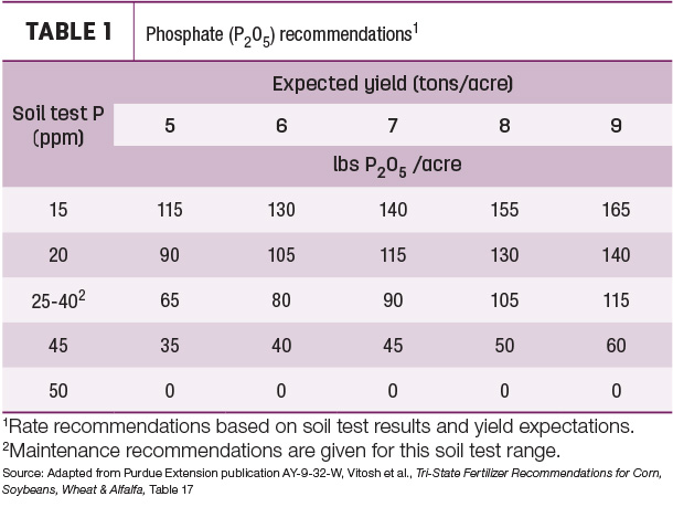 Fertilizing alfalfa: The latest recommendations | Ag Proud