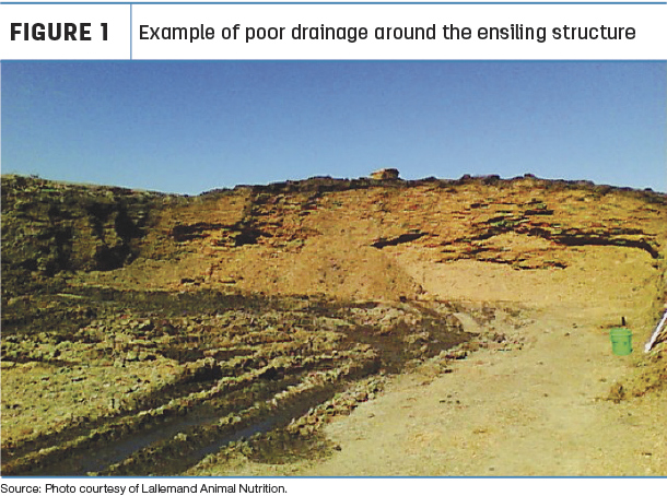 Clean up your act: High-quality, hygienic silage starts in the field ...