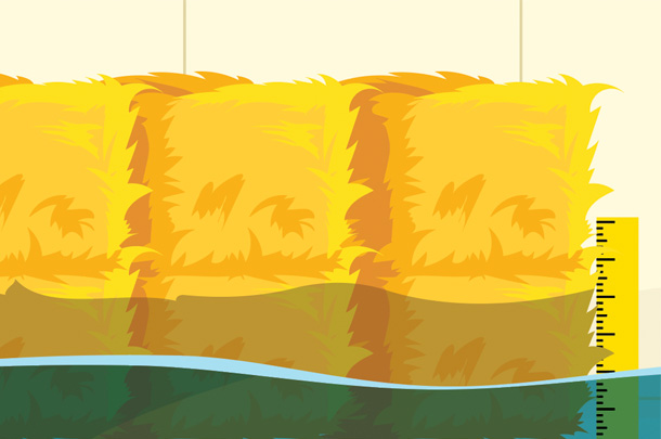 How to handle hay following a hurricane or flood | Ag Proud