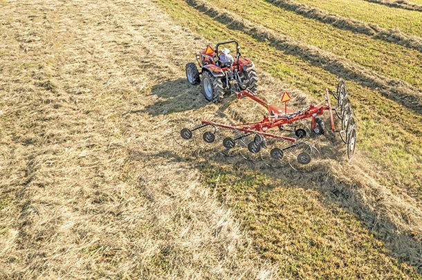 Tips for maximizing forage quality from start to finish - Progressive ...