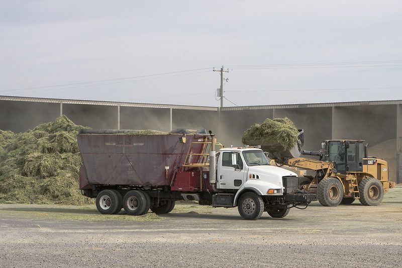 Pile guide: Silage surface and face management - Progressive Dairy | Ag ...